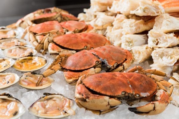 Gallery - The Buffet NY